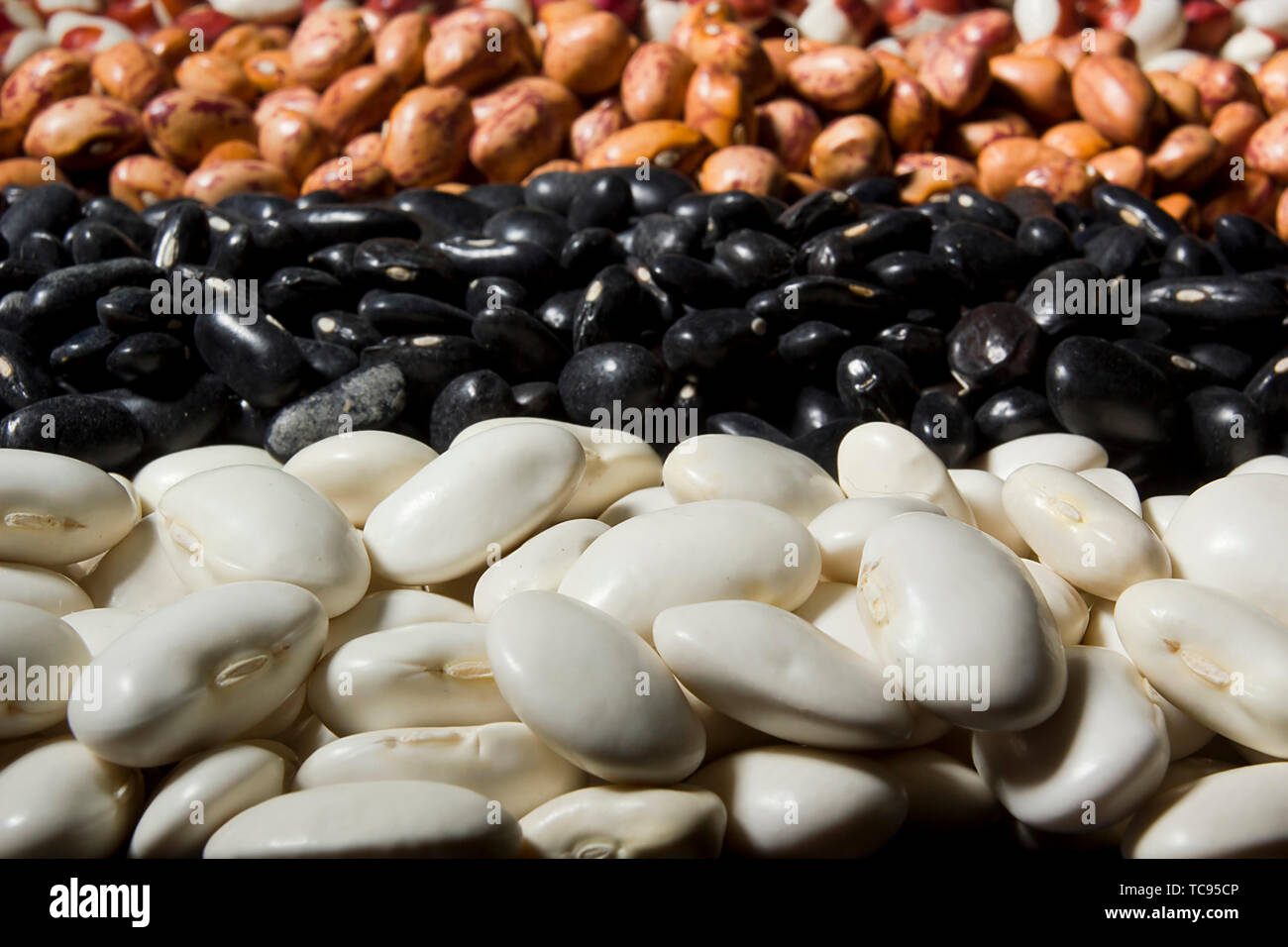 Mix of different in size and color of beans Stock Photo - Alamy
