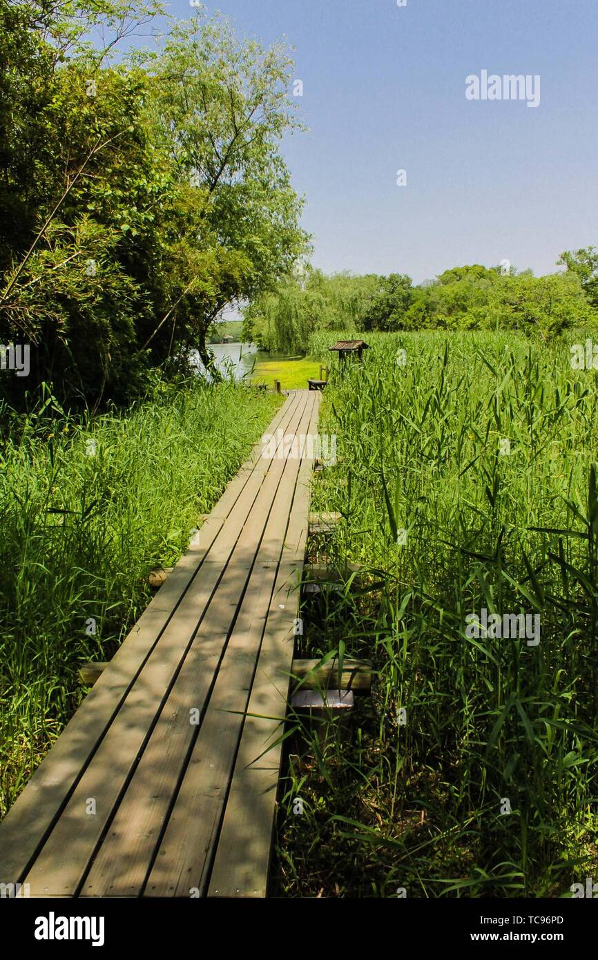 Scenery of Xixi Wetland Park in Hangzhou Stock Photo - Alamy
