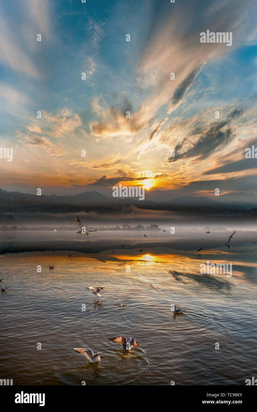 Scenery, portraits, street shots Stock Photo - Alamy