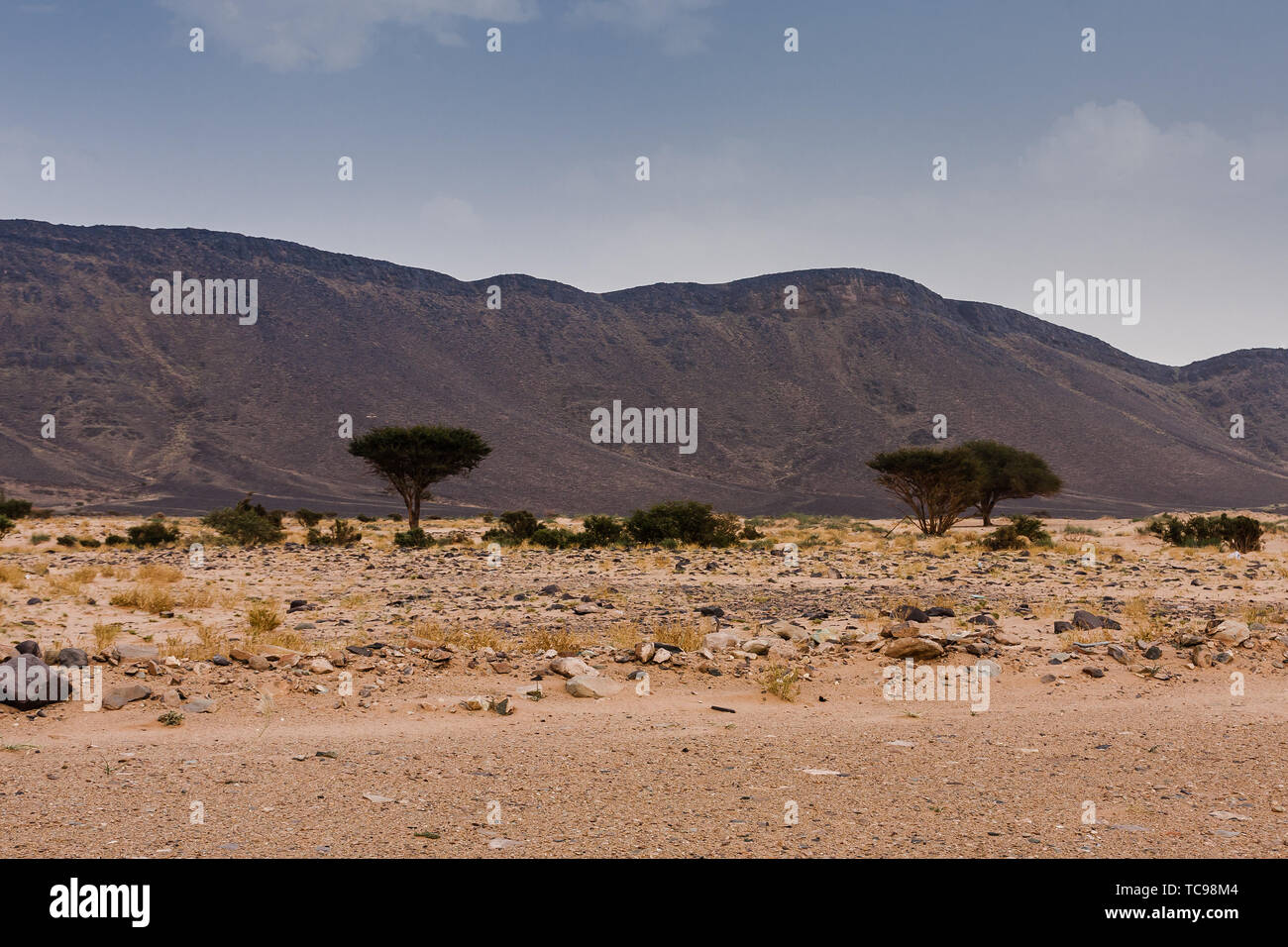 Hills with lava outcrops in the desert of Saudi Arabia Stock Photo - Alamy