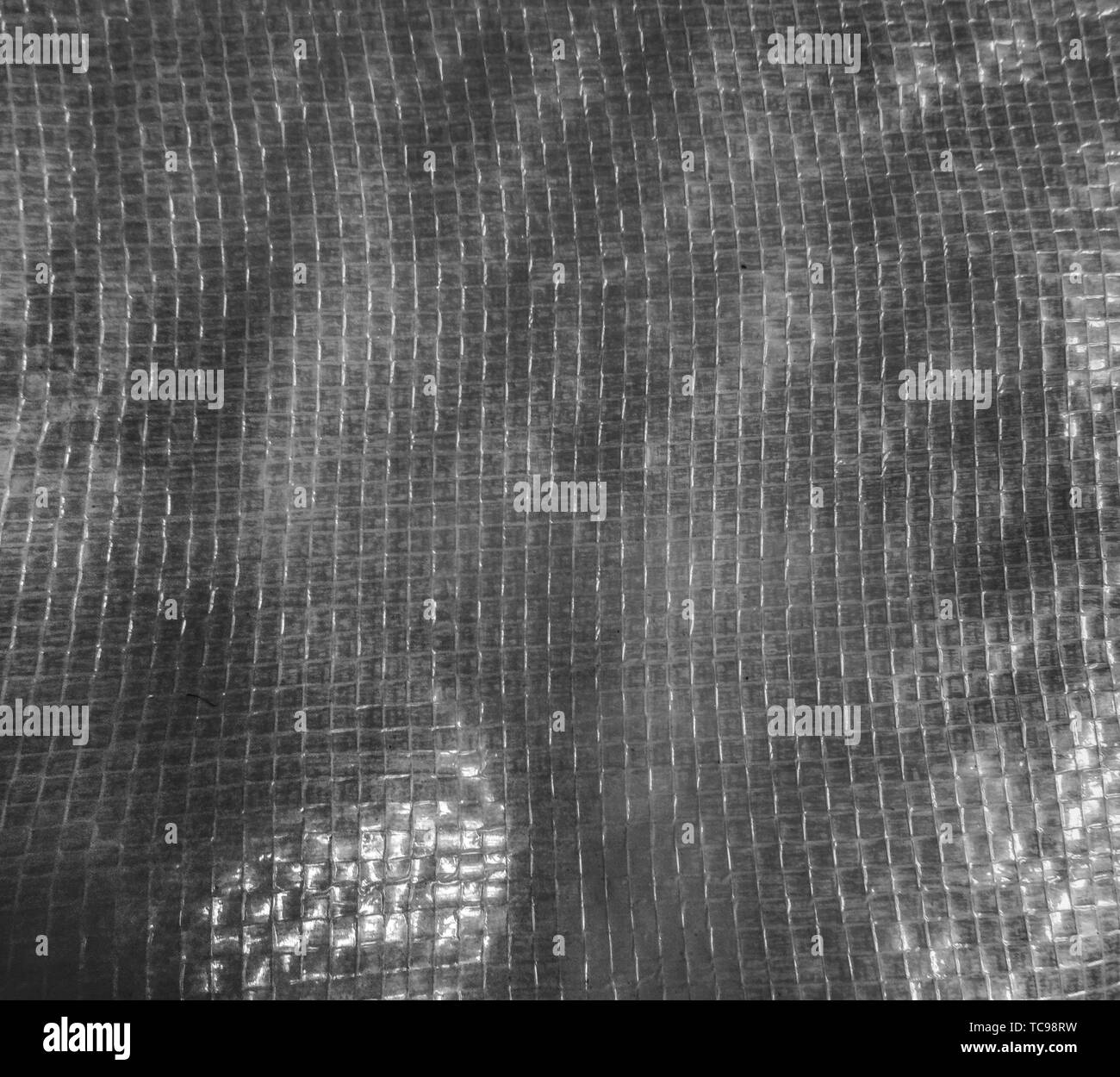 Snakeskin bag hi-res stock photography and images - Alamy