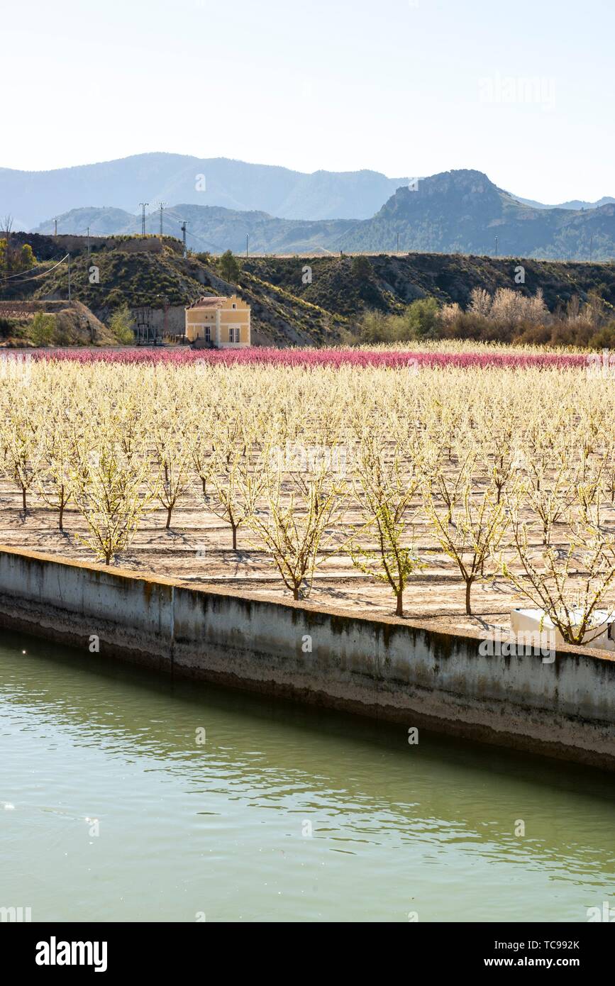 Day irrigation hi-res stock photography and images - Alamy