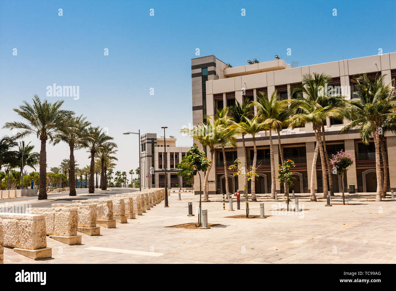 The Exploration Avenue in the King Abdullah University of Science and ...