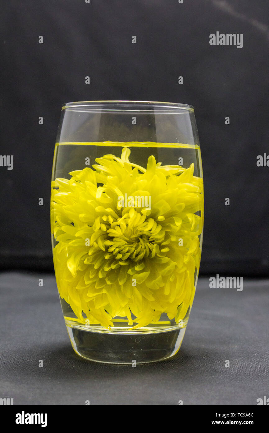 golden yellow emperor Stock Photo - Alamy
