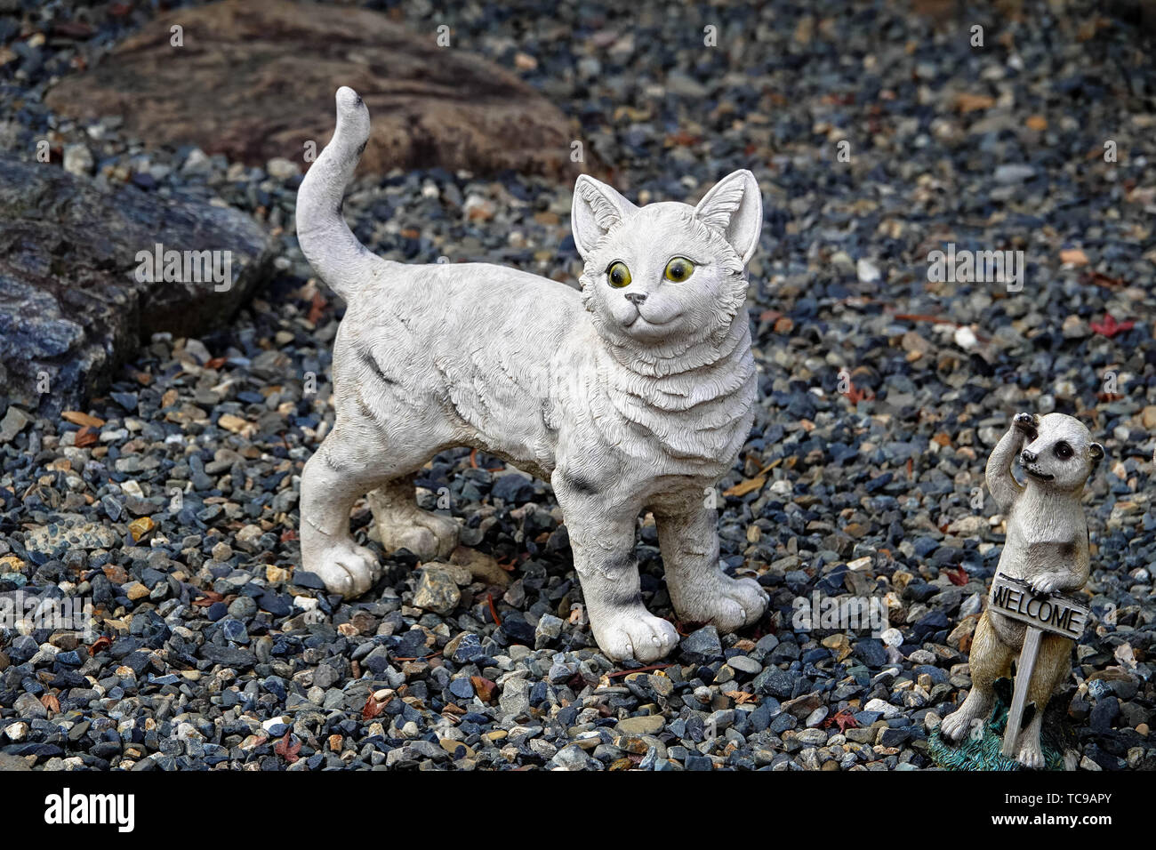 How To Gather Customers In The Courtyard Animal Restaurant at Michael ...