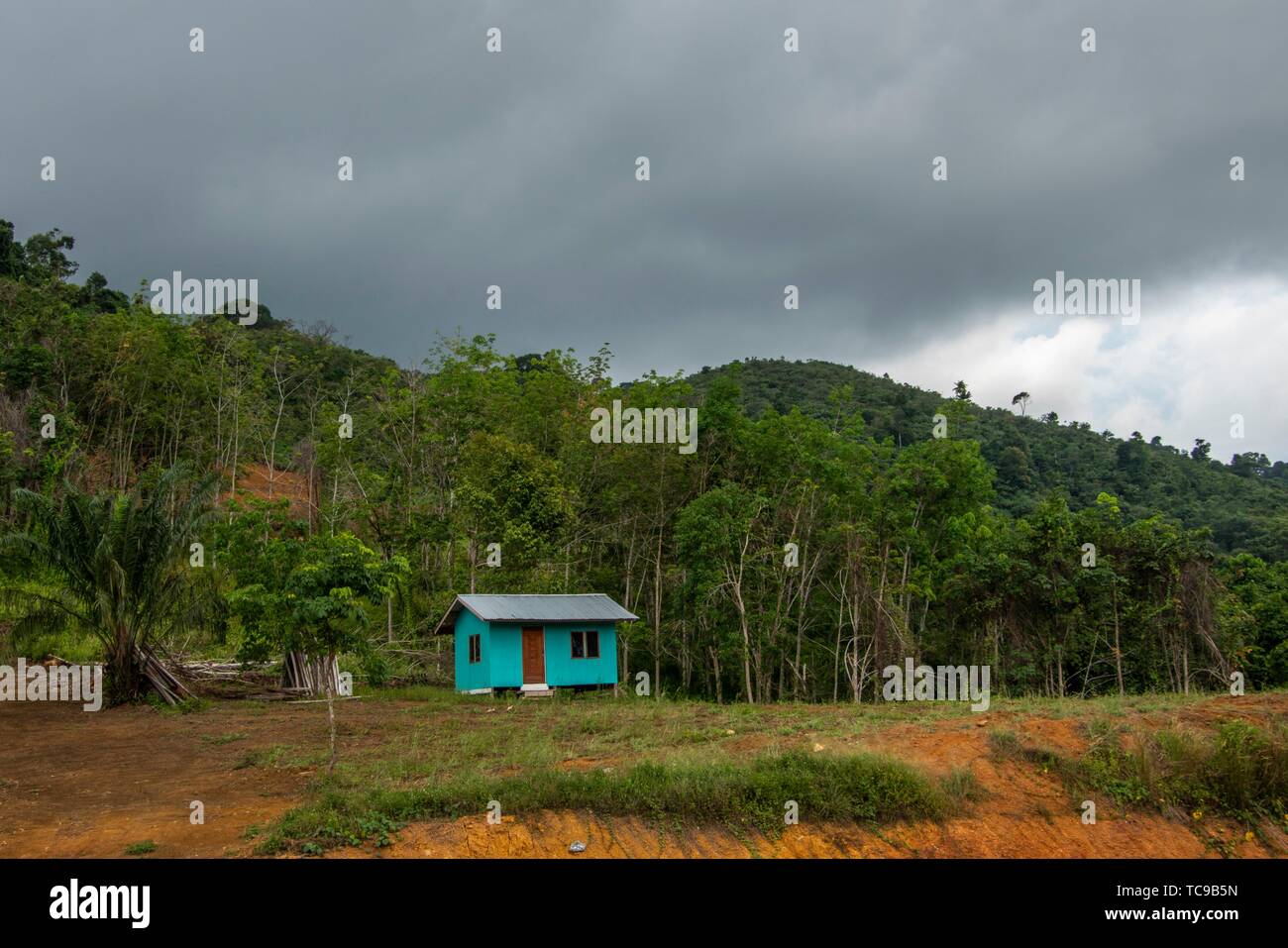 A green house on hill slope along the highway of Telok Melano, Sematan ...