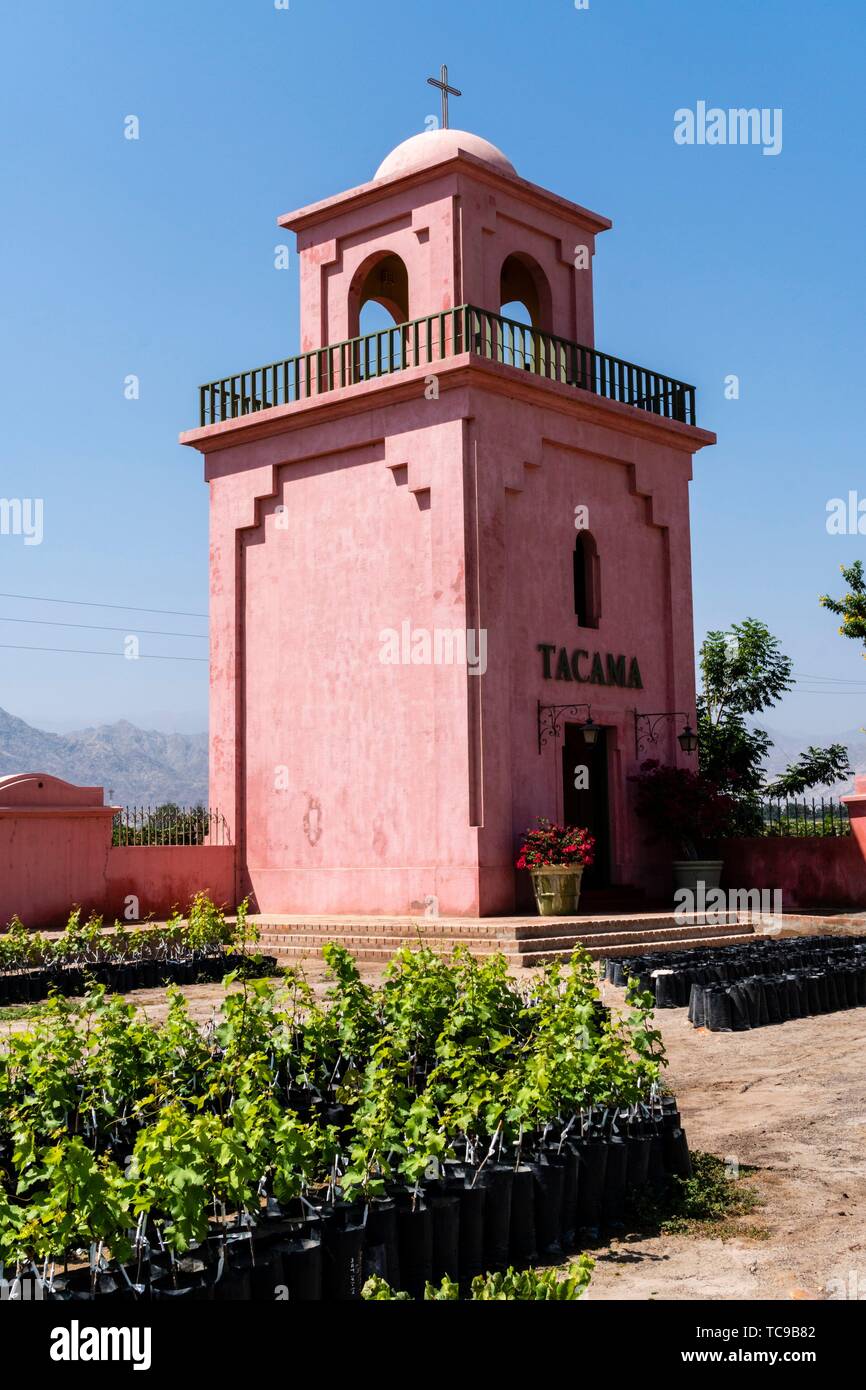 Wine tasting south america hi-res stock photography and images - Alamy