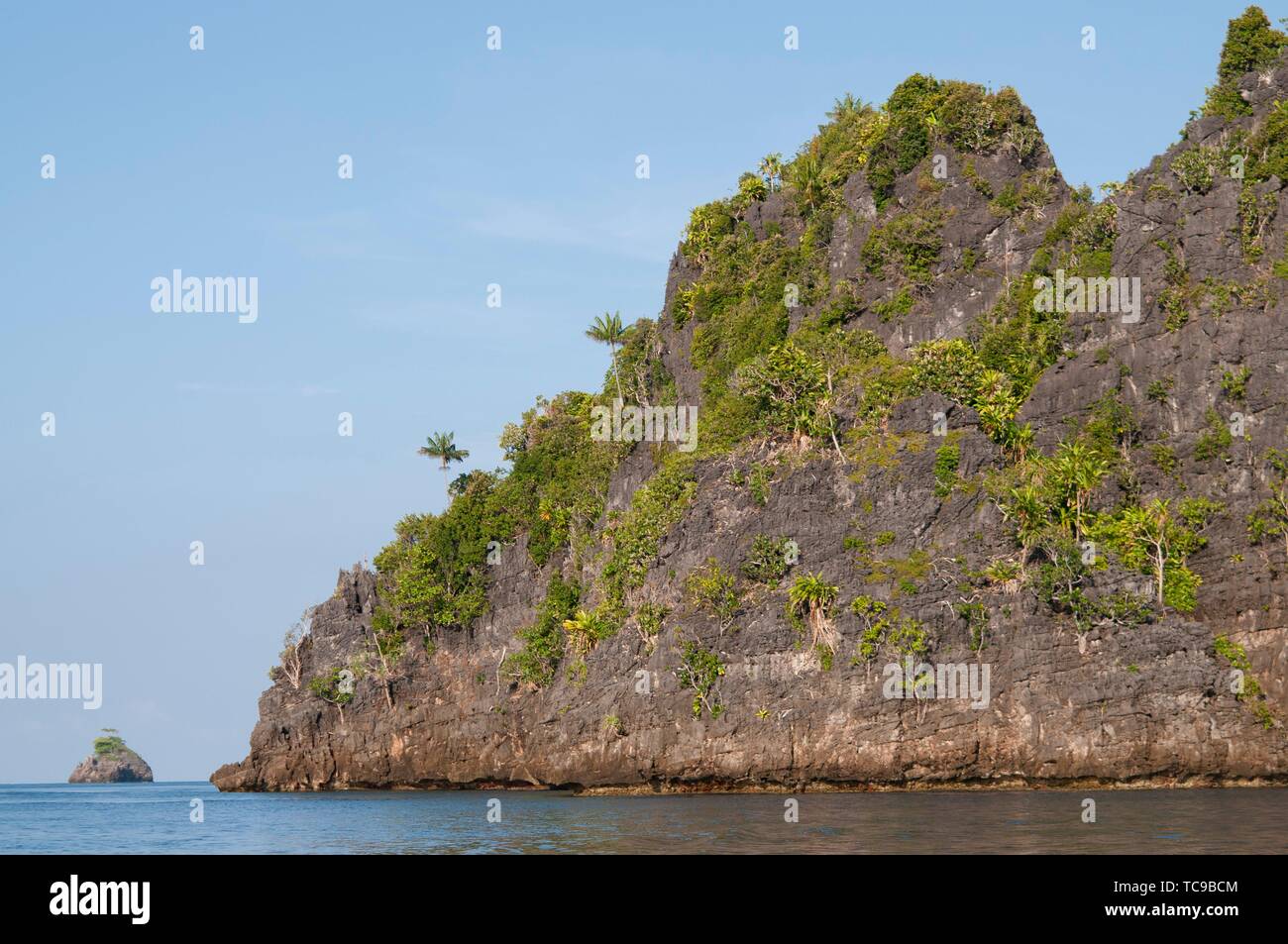 Limestone Pinnacle Island High Resolution Stock Photography and Images ...