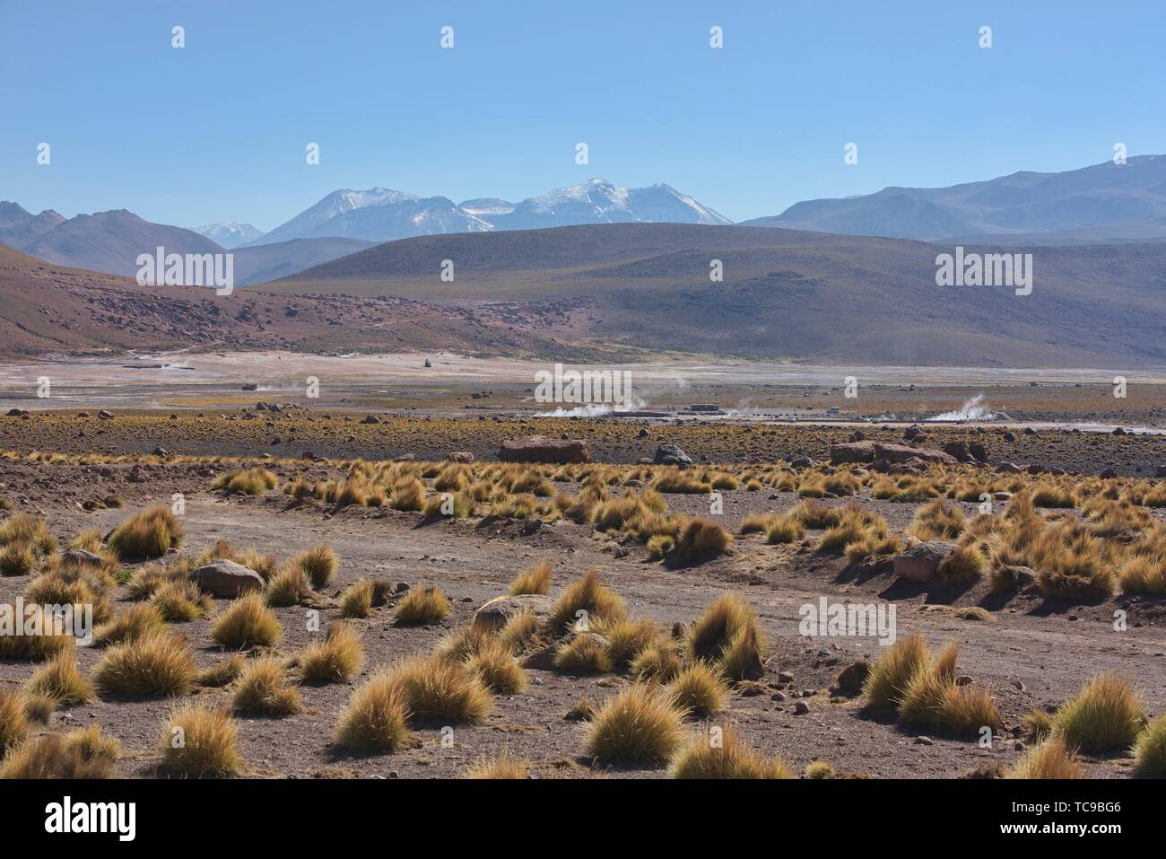 El tatio plain hi-res stock photography and images - Alamy