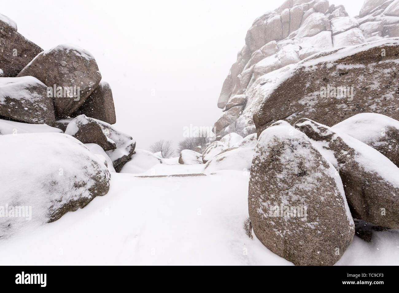 Snow scenery of Laoshan, Qingdao Stock Photo - Alamy