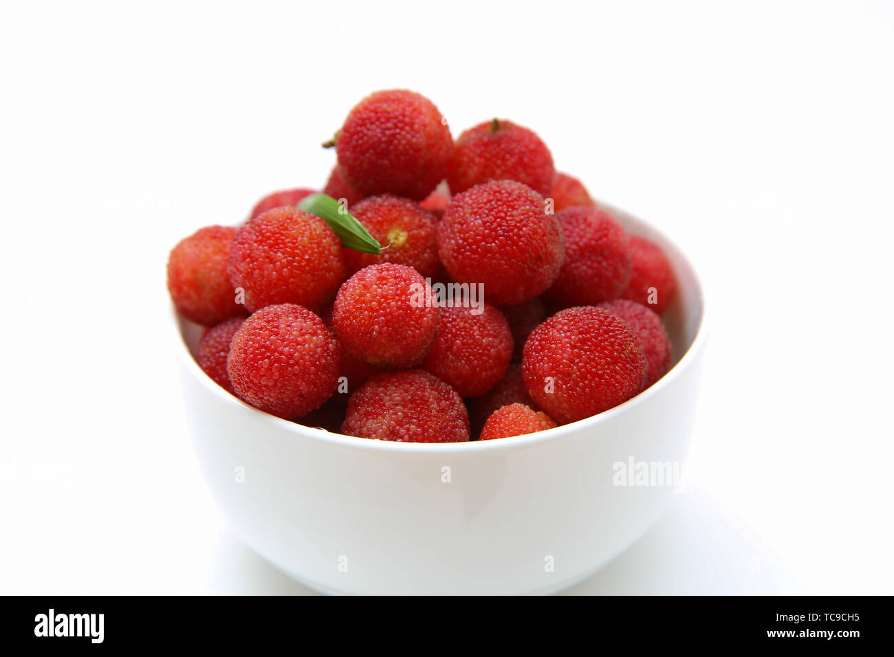 Bayberry leaves hi-res stock photography and images - Alamy