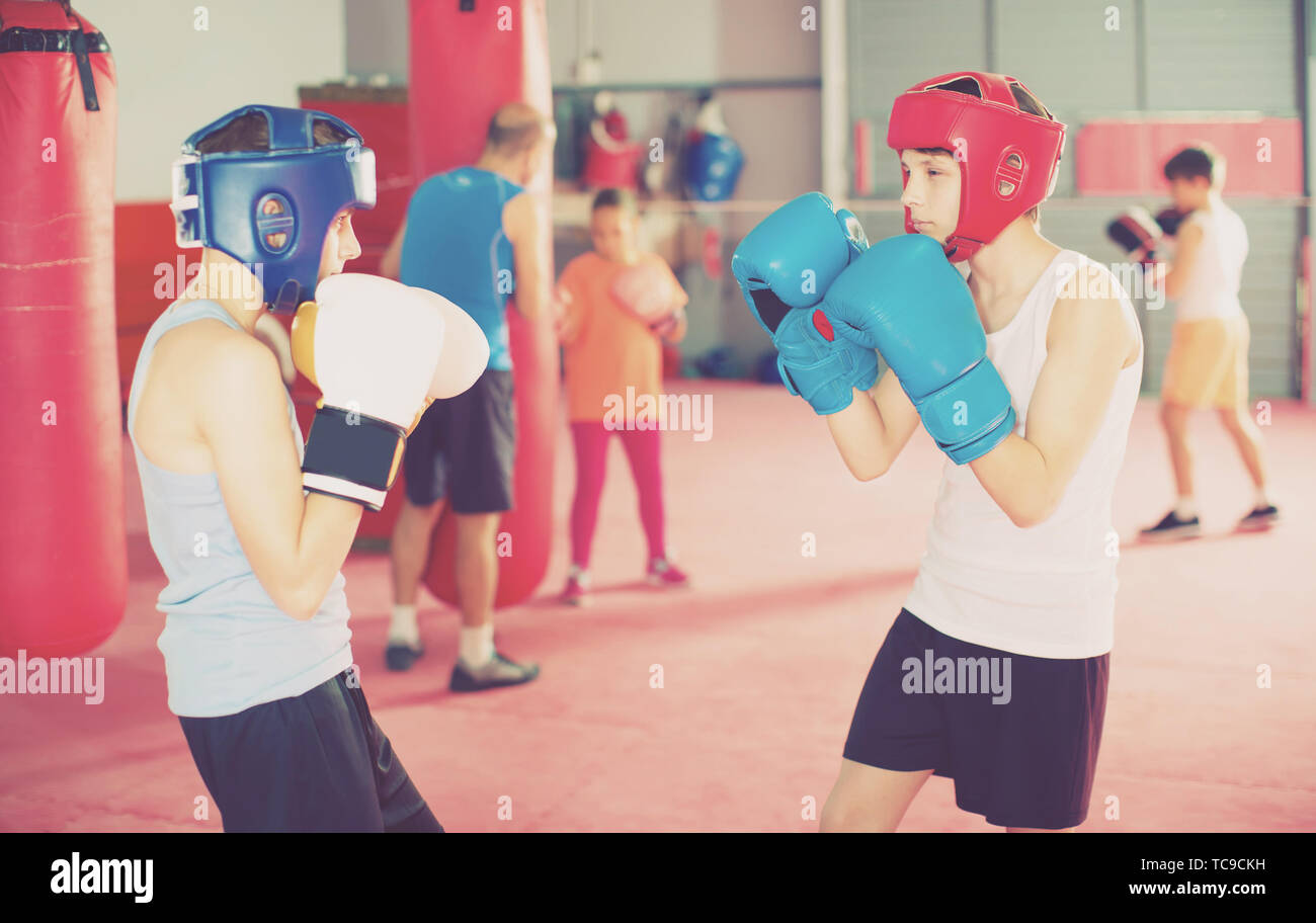 Two boys practice in sparring at boxing training Stock Photo - Alamy