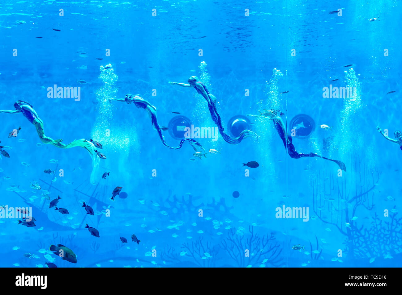 Mermaid performance at Haichang Ocean Park, Shanghai Stock Photo - Alamy