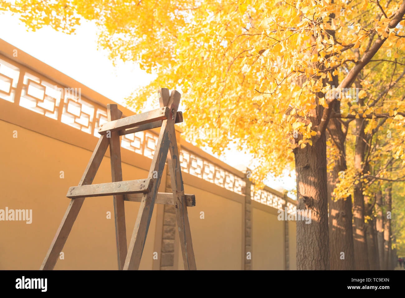 Beijing Temple of Heaven Red Wall Flying Birds Stock Photo - Alamy