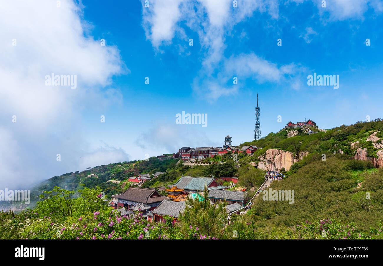 Tarzan Style High Resolution Stock Photography and Images - Alamy