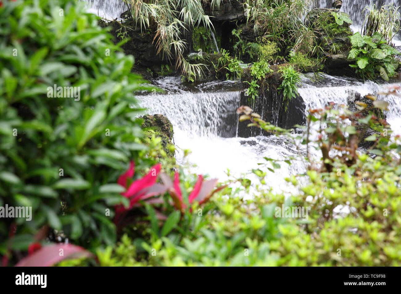 Beautiful artificial house made hi-res stock photography and images - Alamy