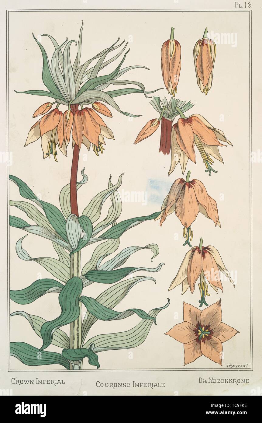 Maurice pillard hi-res stock photography and images - Alamy