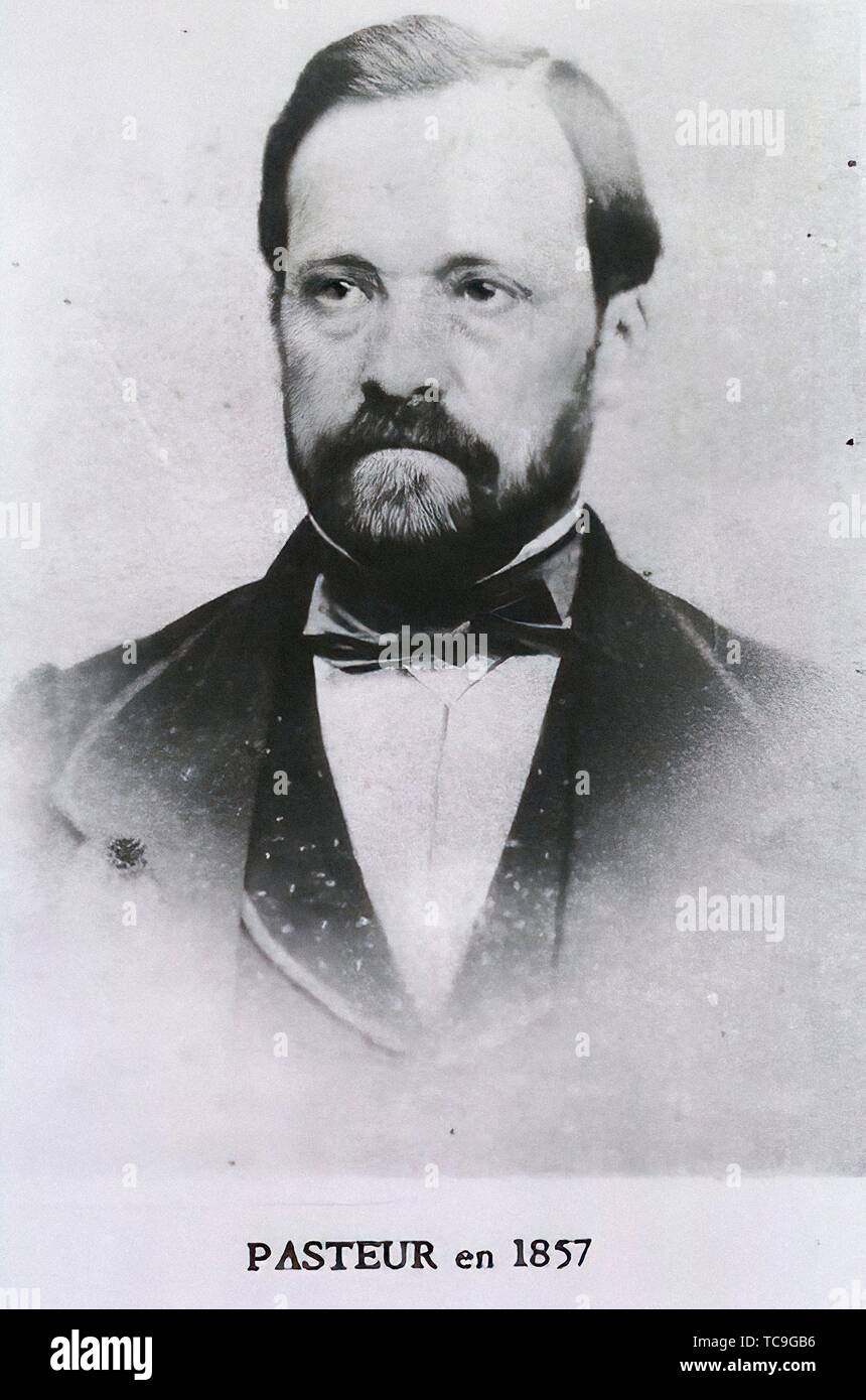 Microbiology 19th century hi-res stock photography and images - Alamy