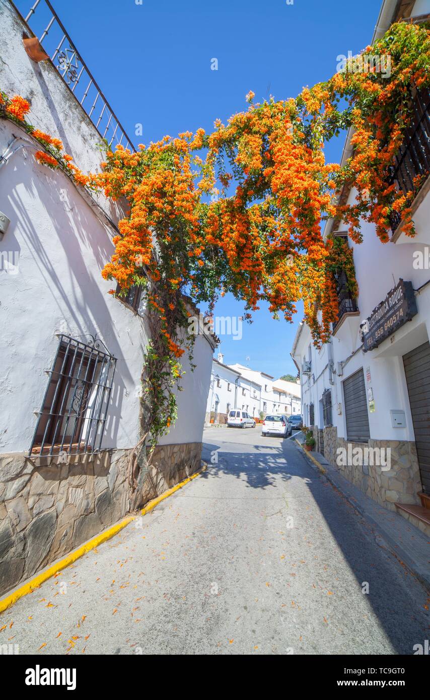 Hanging From Balcony High Resolution Stock Photography and Images - Alamy