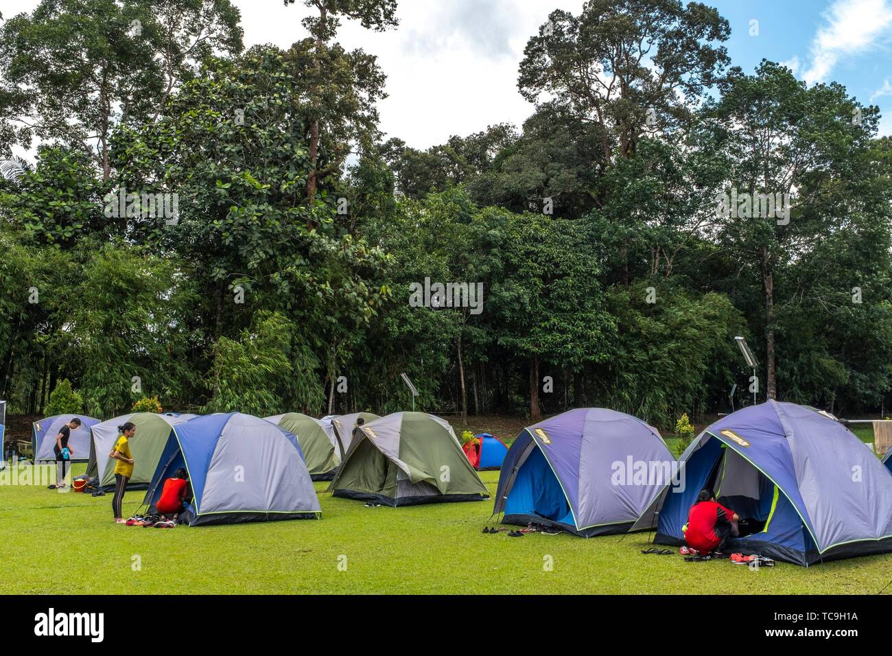 Sumiran Eco-Camp a multicultural rainforest mix eco-farm camp for all ...