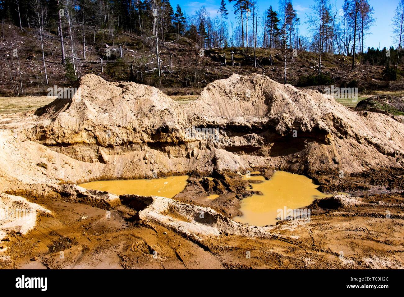Sand excavation in the forests of Sweden Stock Photo - Alamy