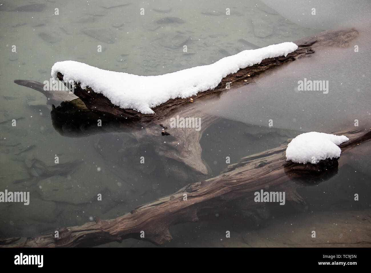 Snags in water hi-res stock photography and images - Alamy