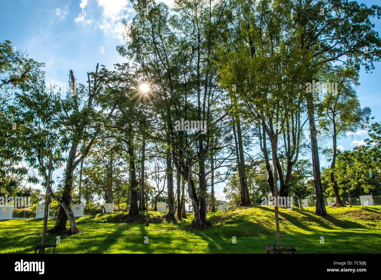 Upland vegetation hi-res stock photography and images - Alamy