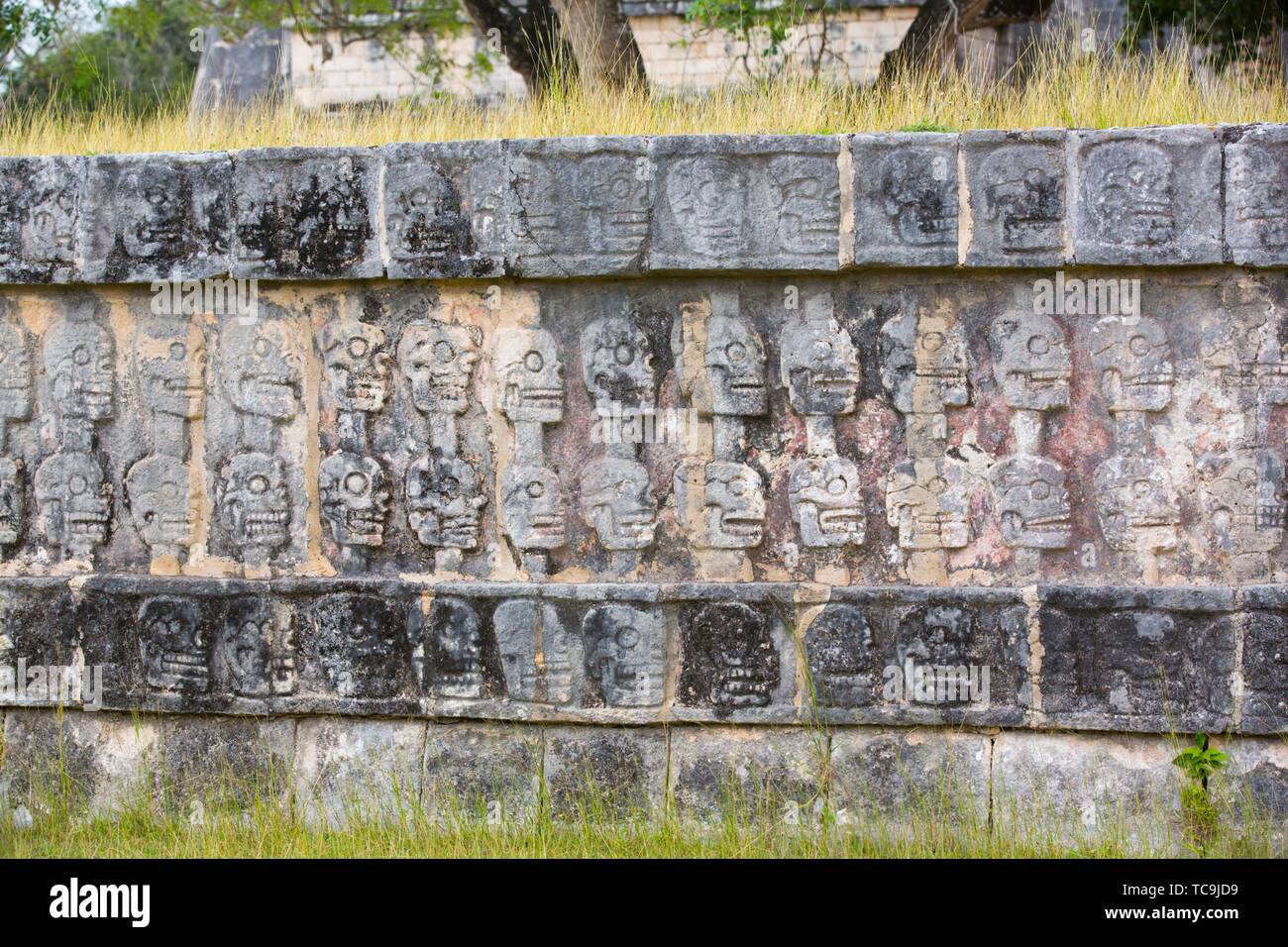 Skull Platform High Resolution Stock Photography and Images - Alamy