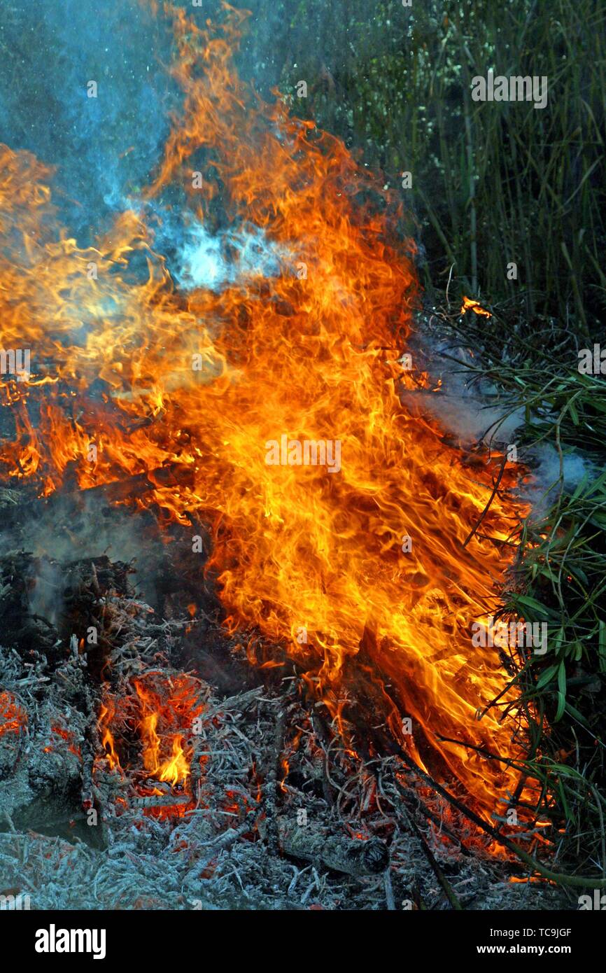 Forestry waste hi-res stock photography and images - Alamy