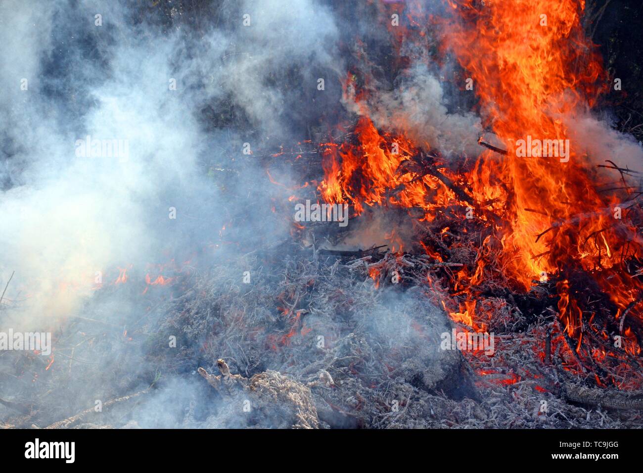 Agricultural waste hi-res stock photography and images - Alamy