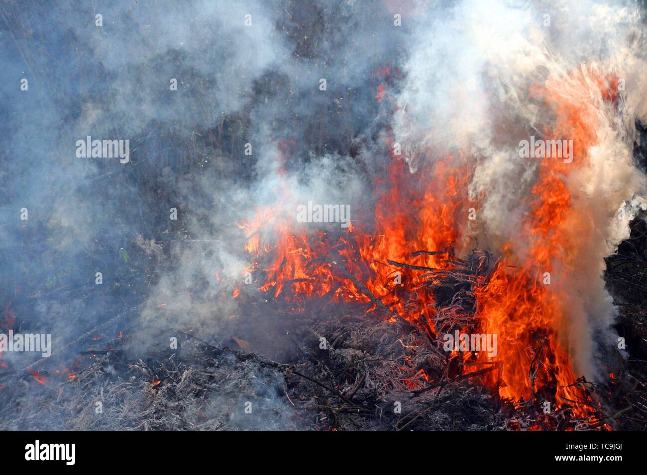 Agricultural Waste High Resolution Stock Photography and Images - Alamy