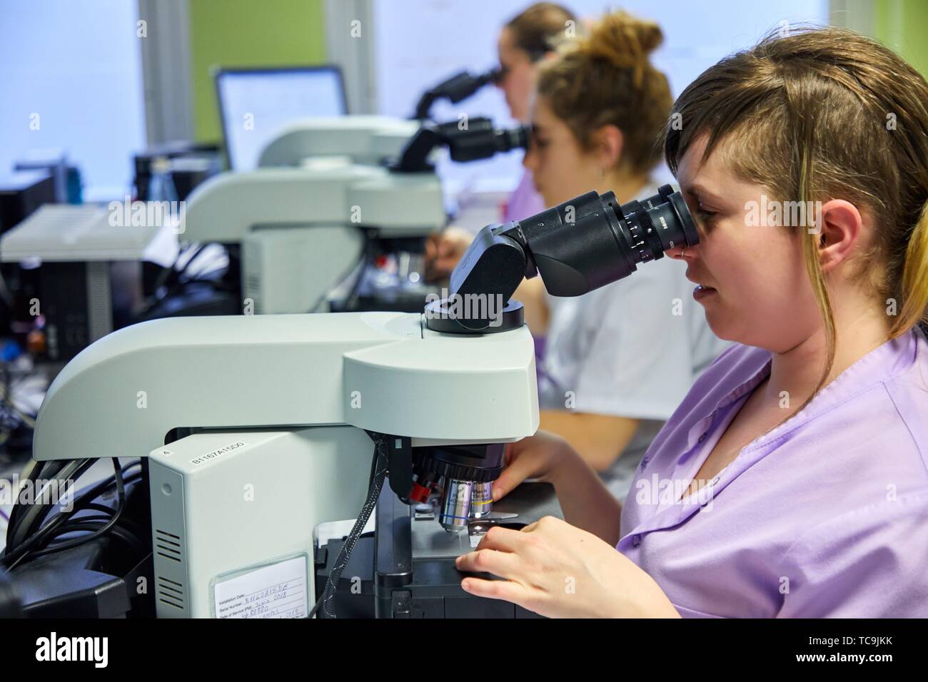 Microscope analysis hi-res stock photography and images - Alamy