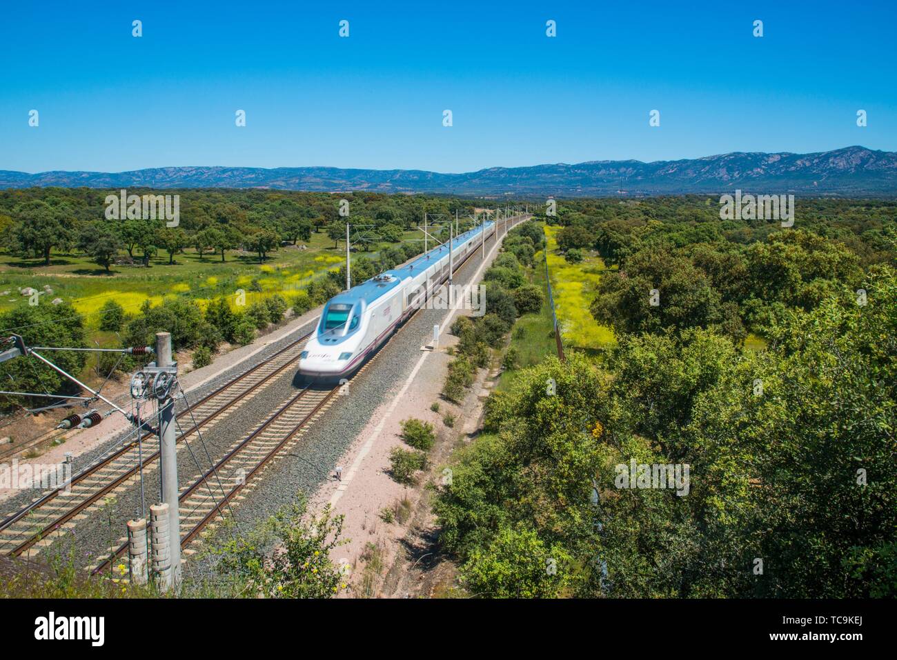 Ave train hi-res stock photography and images - Alamy