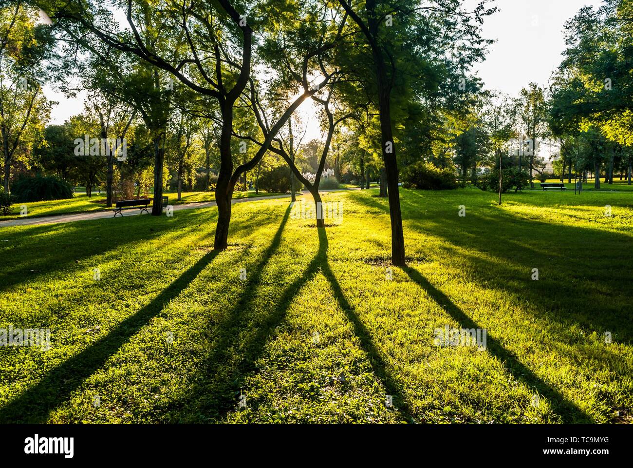 Turia River Old Bed High Resolution Stock Photography and Images - Alamy