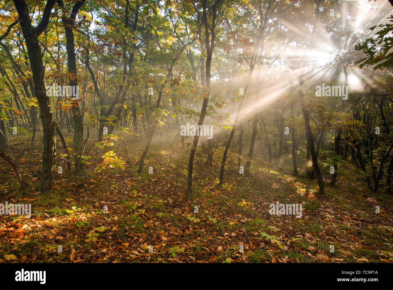 Sino-Russian border lake Xingkai lake autumn color Stock Photo - Alamy