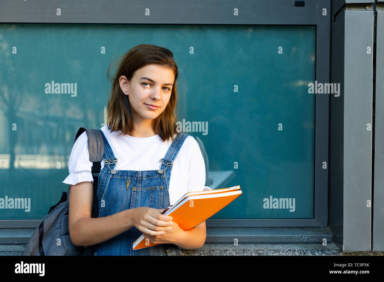 Portrait of a beautiful student girl leaning against the window of the ...