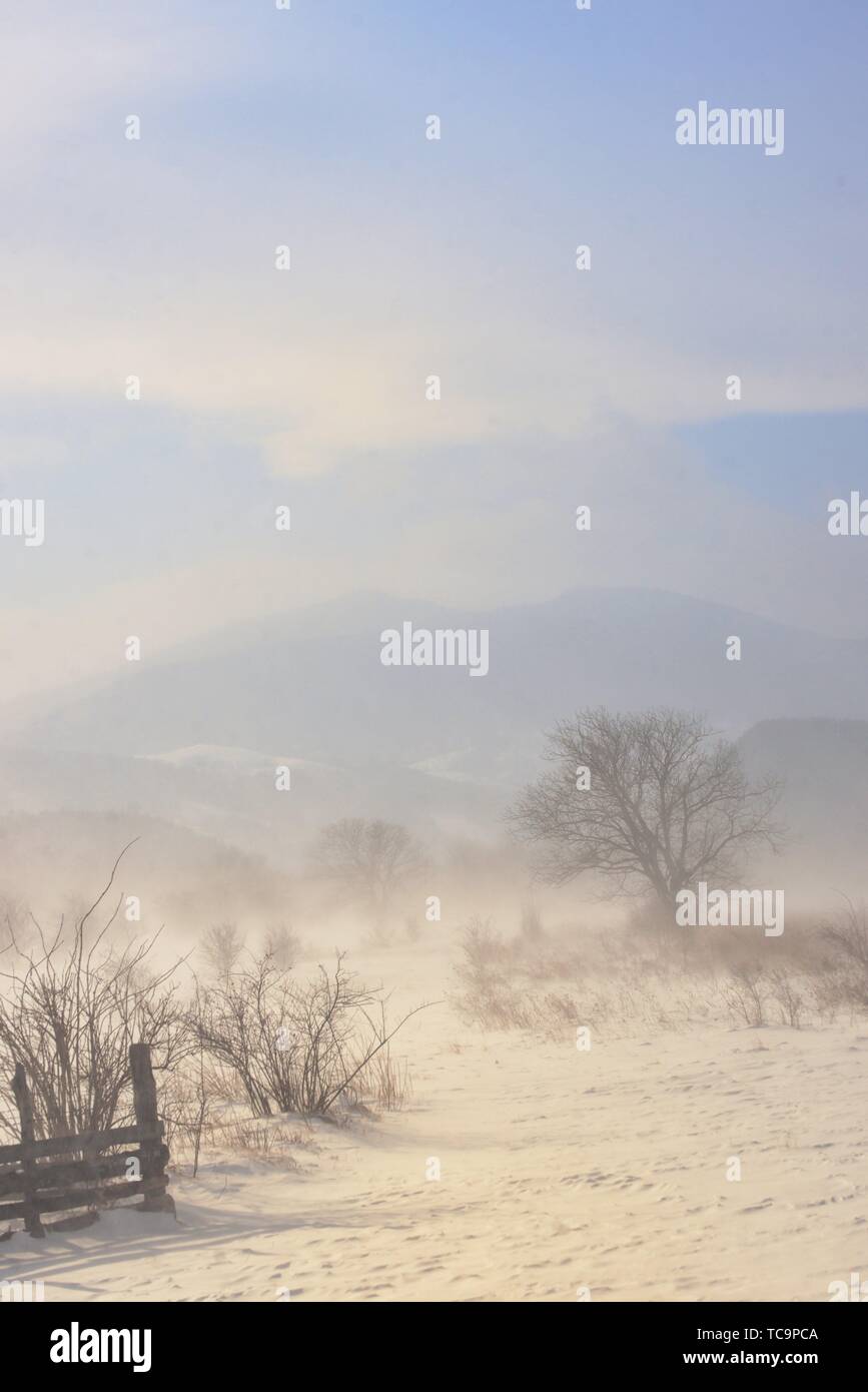 No man storm field hi-res stock photography and images - Alamy