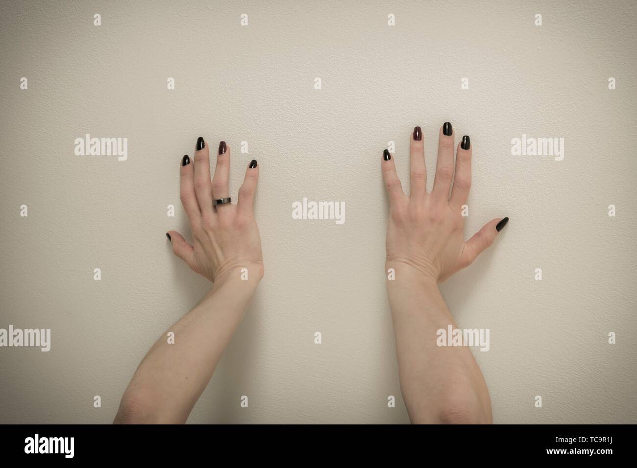 Polish white hi-res stock photography and images - Alamy
