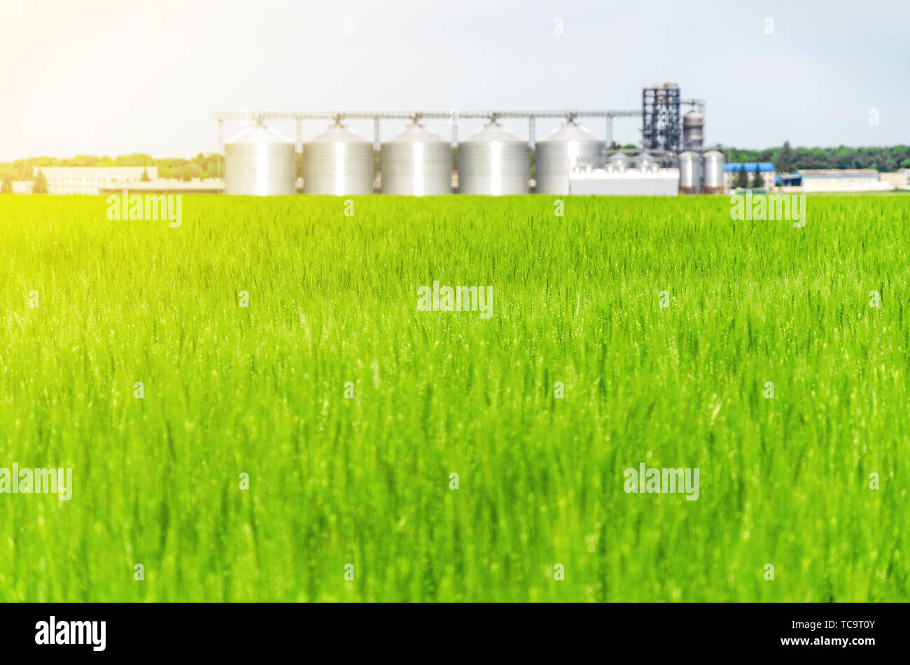 Metal modern elevator in the field of wheat Stock Photo - Alamy