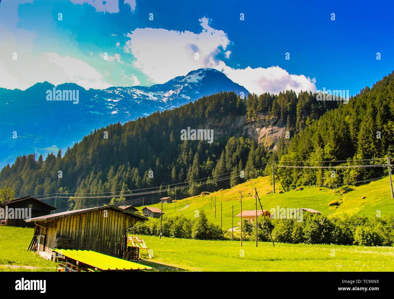 The lush green pastures at Grindelwald valley Stock Photo - Alamy