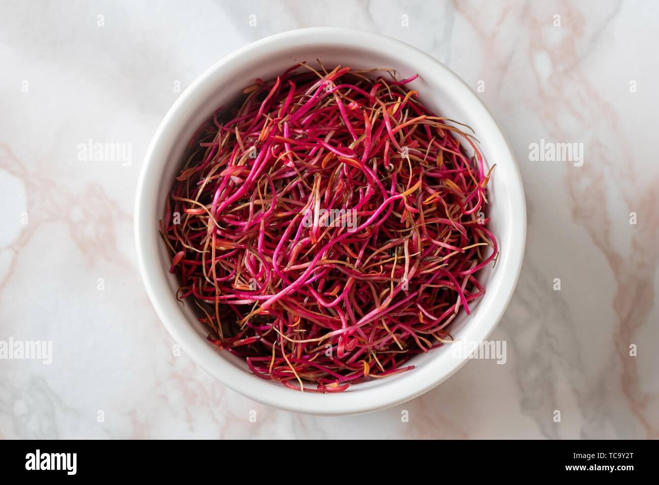 Fresh red beet sprouts in a bowl, top view Stock Photo - Alamy