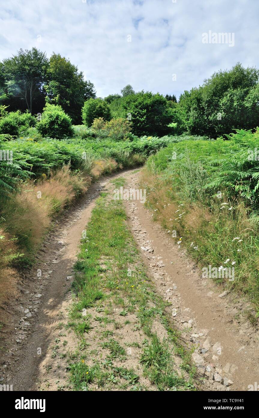 Path in spring hi-res stock photography and images - Alamy