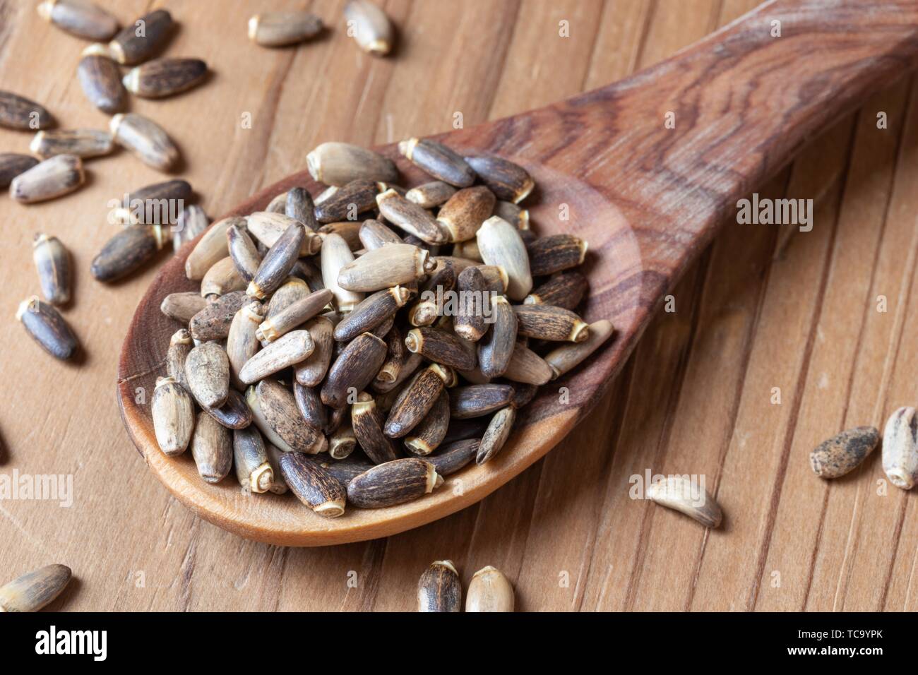 Milk thistle seed with hi-res stock photography and images - Alamy