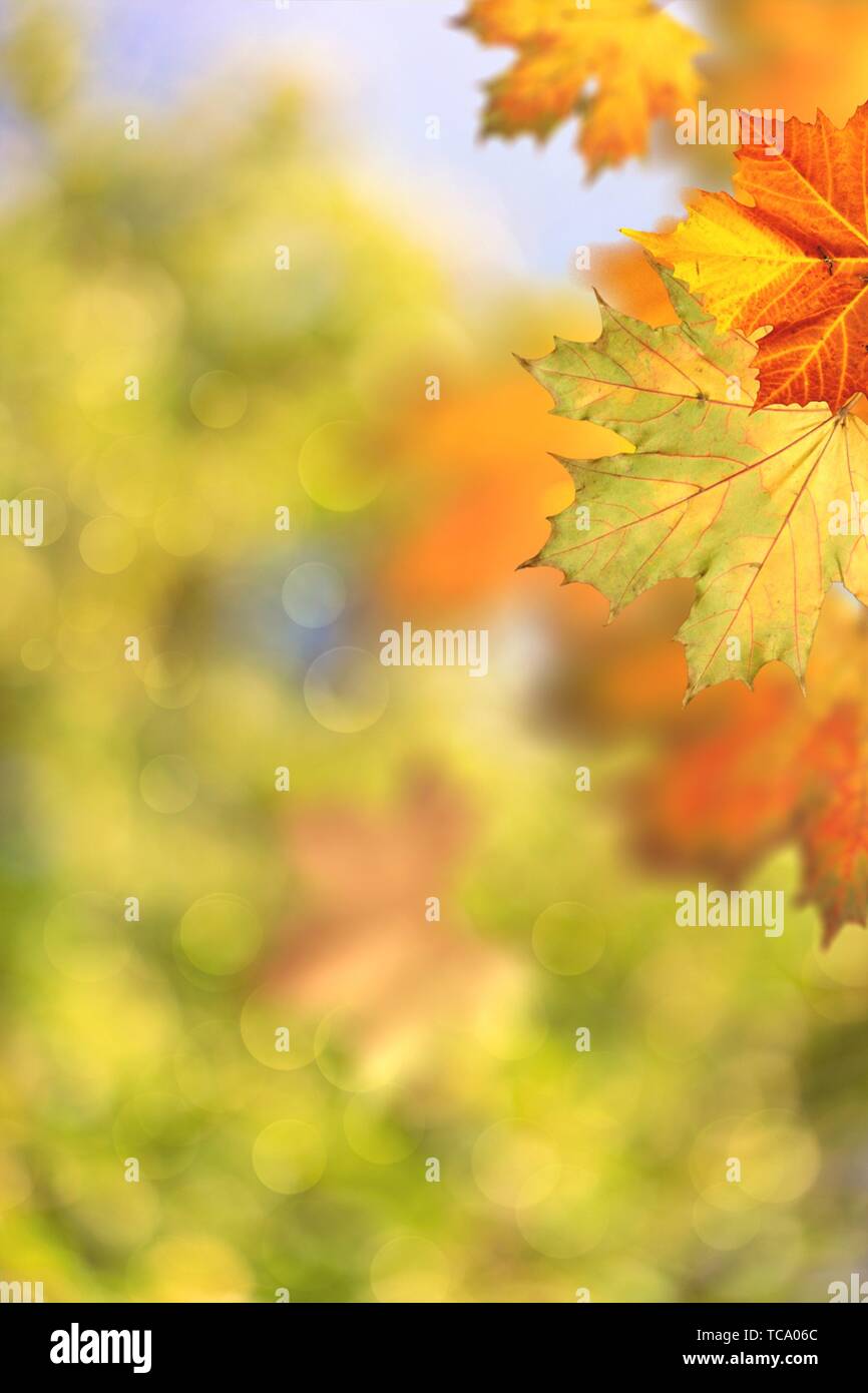 Beautiful bright colours hi-res stock photography and images - Alamy