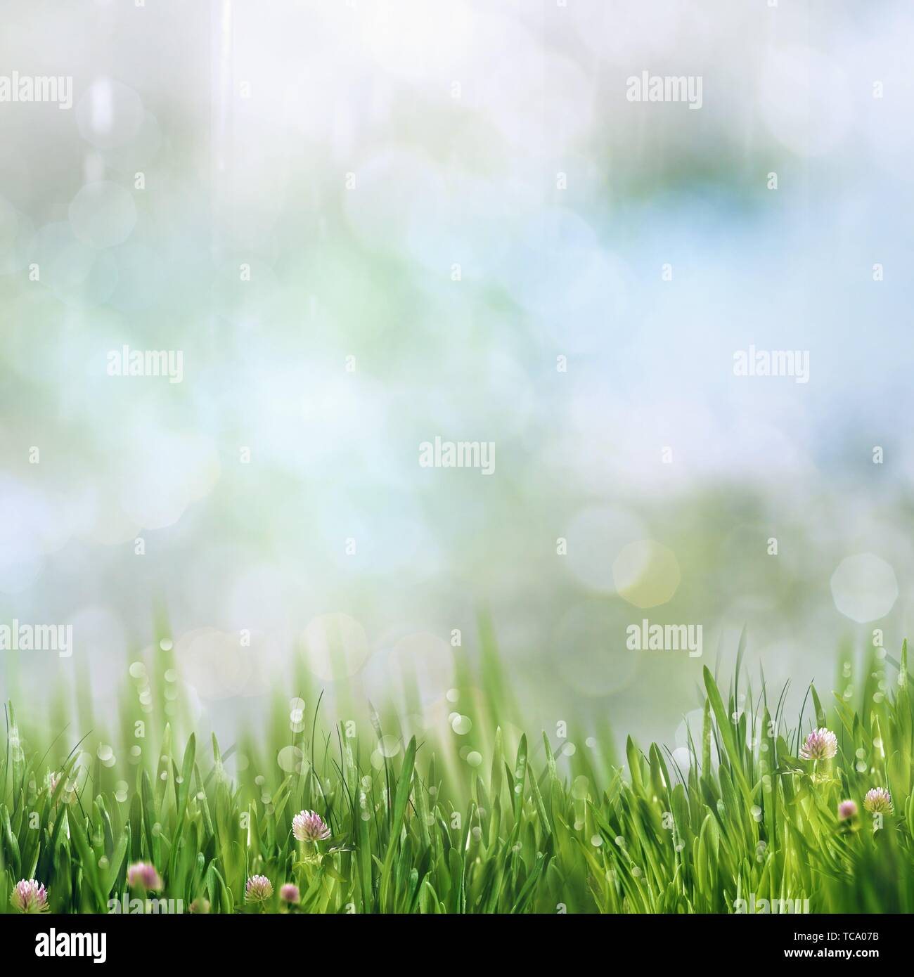 Smokey backgrounds hi-res stock photography and images - Alamy