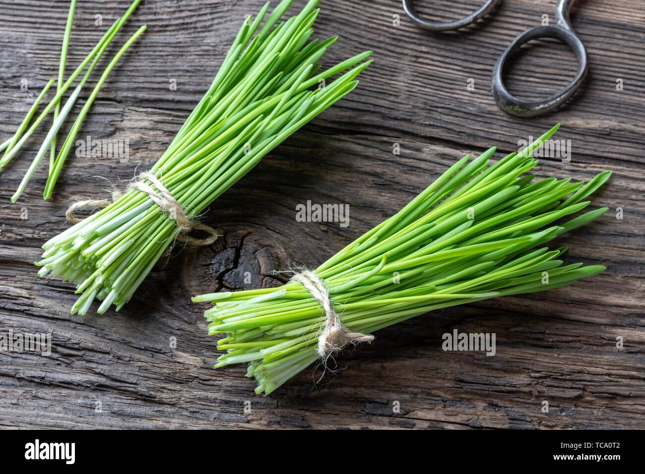 Barley grass hi-res stock photography and images - Alamy