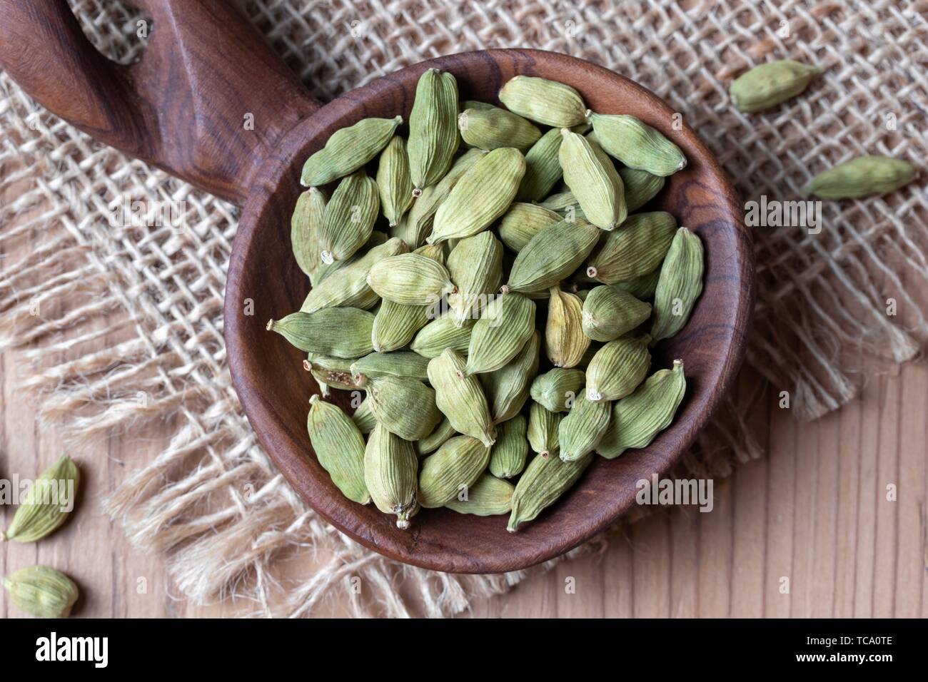 Cardamon plant hi-res stock photography and images - Alamy