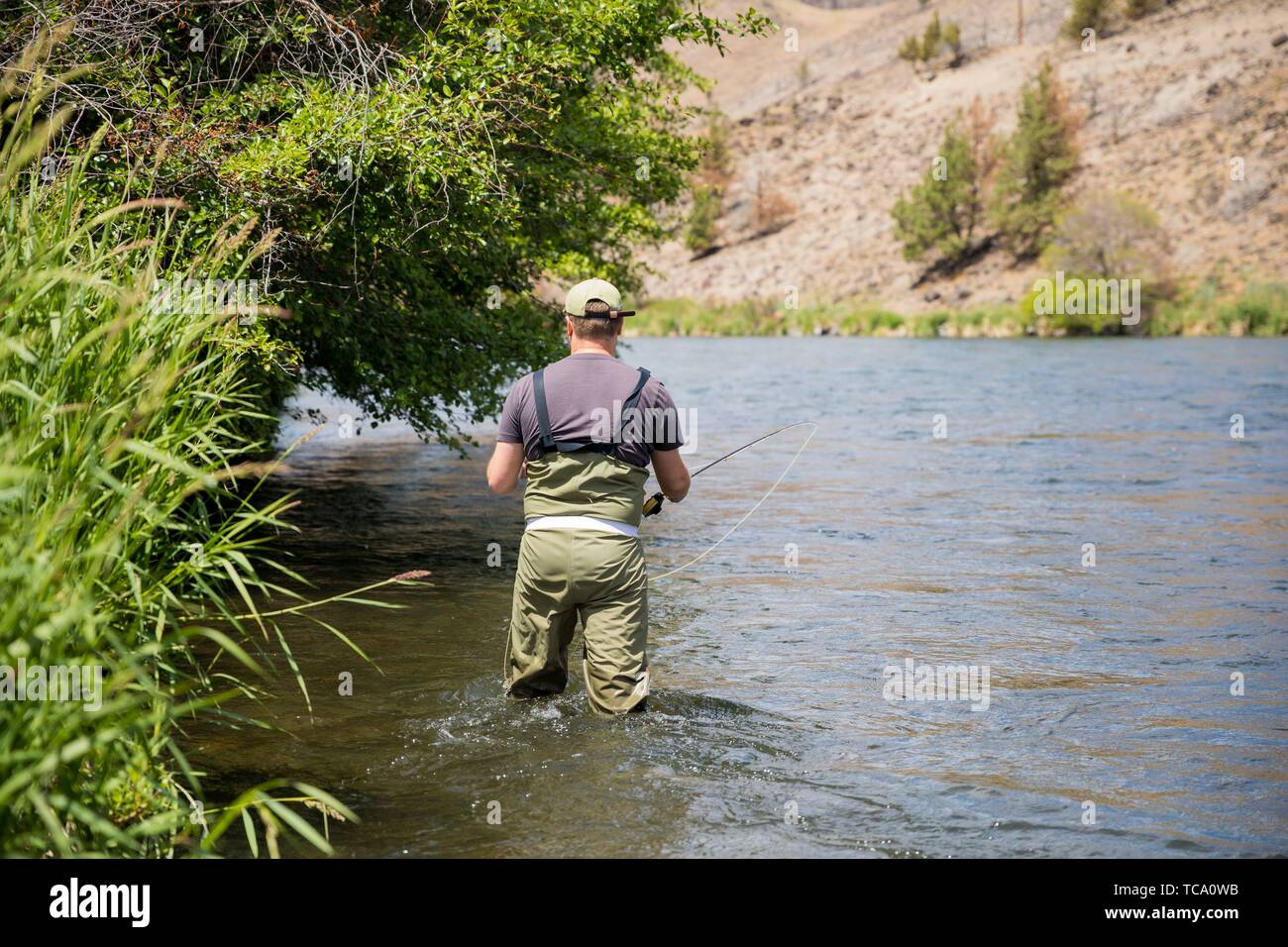 Rising Trout High Resolution Stock Photography and Images - Alamy