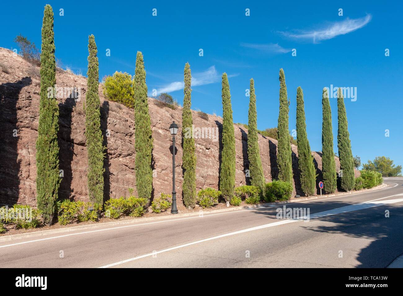 Provence cypress tree hi-res stock photography and images - Alamy
