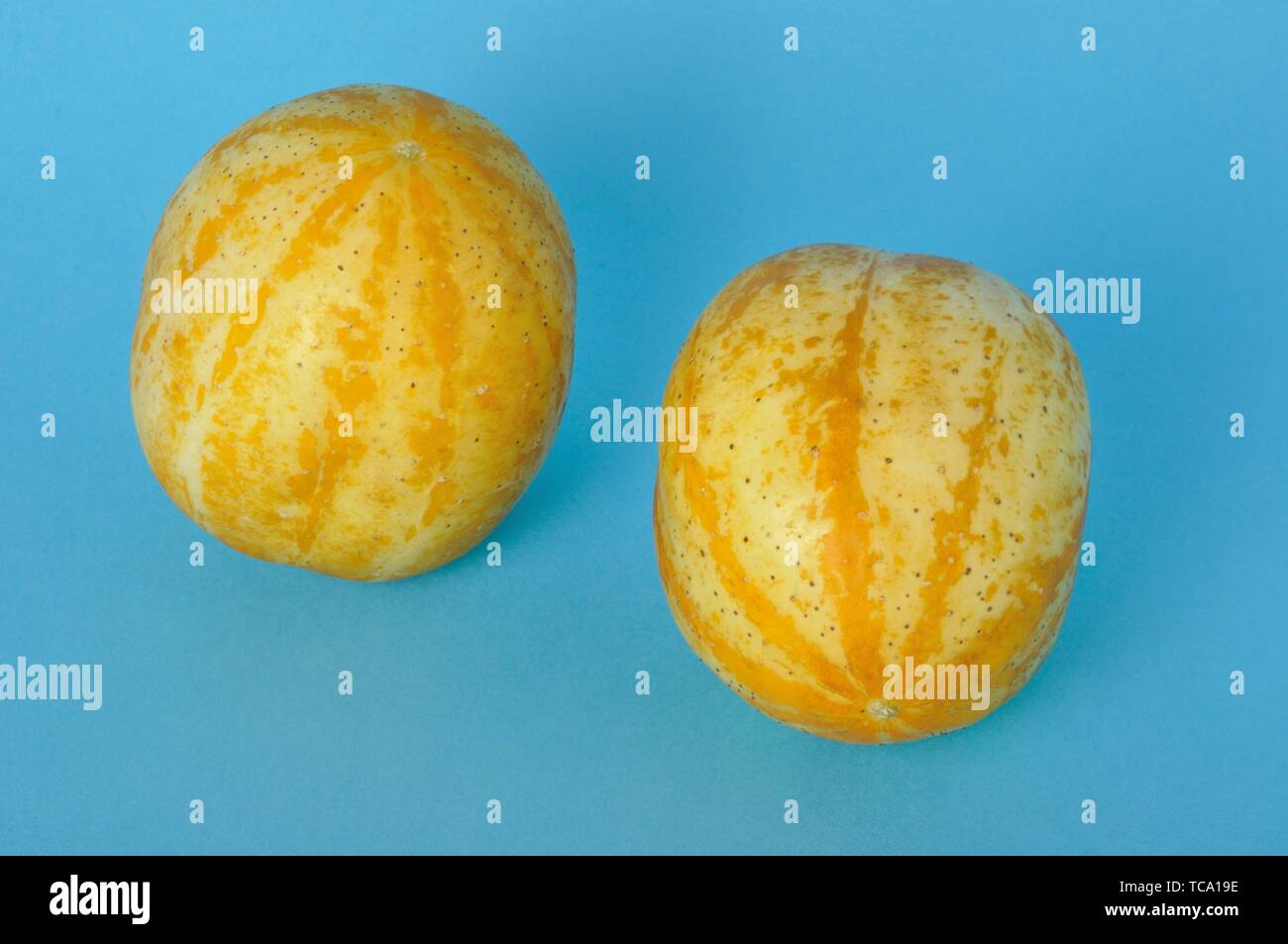 Pepino Stock Photos & Pepino Stock Images - Alamy